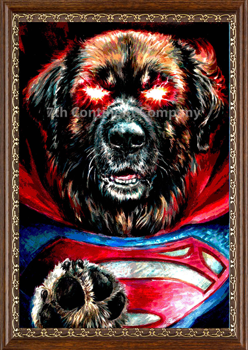 Superman Dog