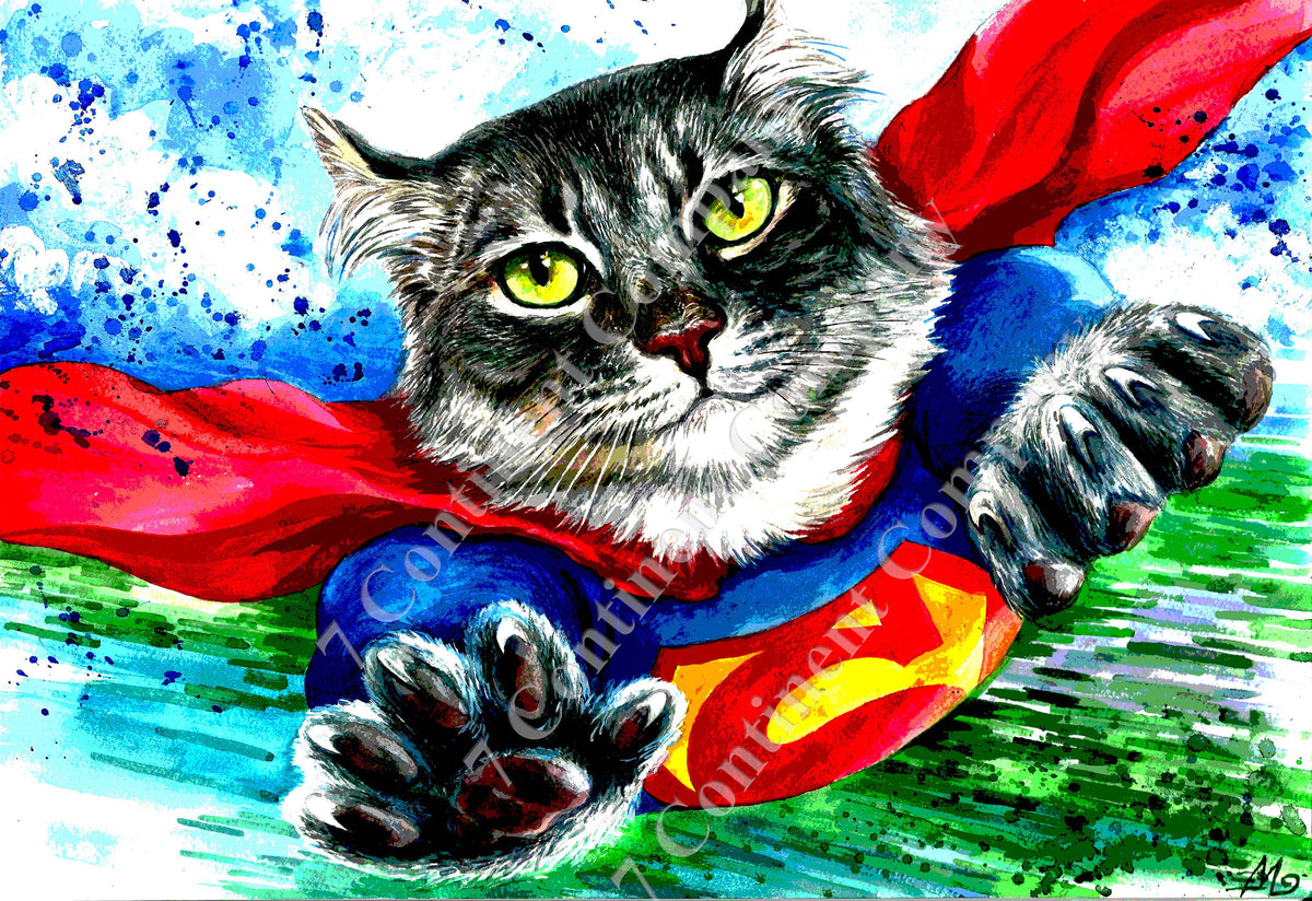 Superman Cat Art